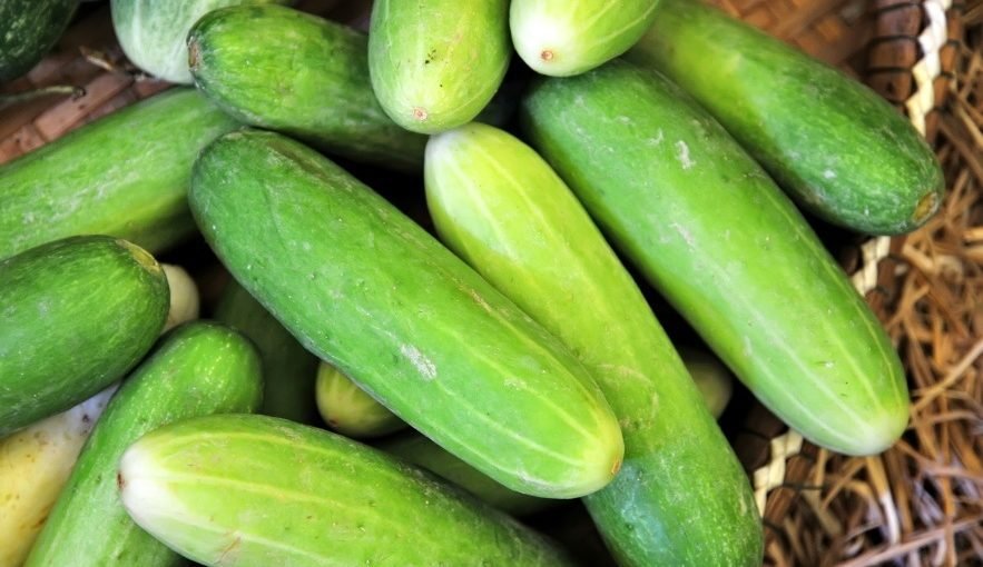 15 Inaspettati Benefici del Cetriolo